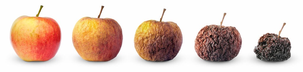 Recognizing a “bad apple” and dealing with them - Team Scholarship ...